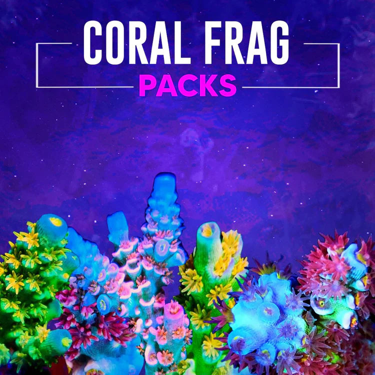 Frag Packs – Gulfstream Tropical Marine